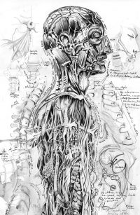 Richard Raaphorst | Roughmen | Portfolio Richard