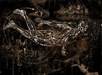 Richard Raaphorst | Roughmen | Portfolio Richard